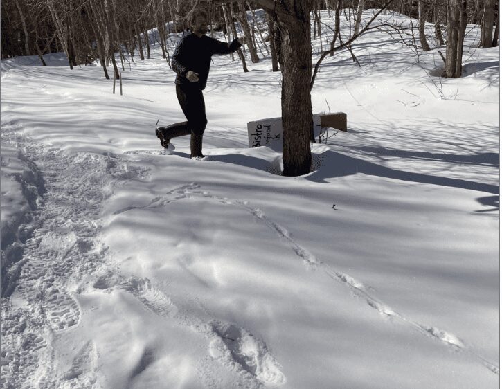 Can you see Cape Breton Wildlife at Cabot Shores during Winter? | Cabot ...